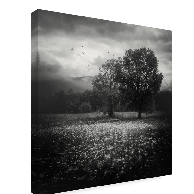 Trademark Art Yucel Basoglu Floral Field And Trees On Canvas by Yucel Basoglu Print | Wayfair